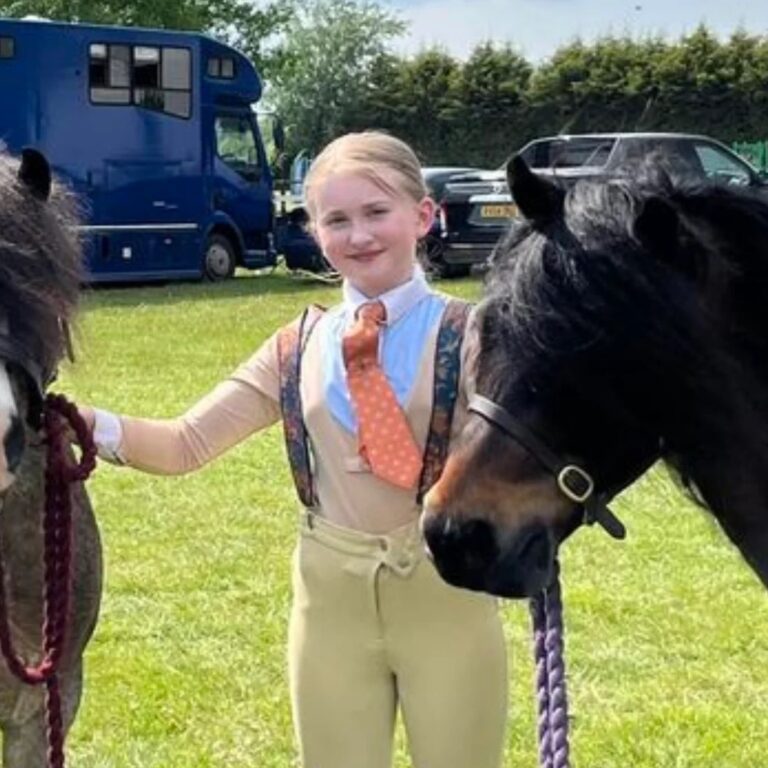 Show Pony Prep – Elite Equine Tack Emporium