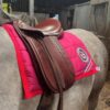 Show Pony Prep – Elite Equine Tack Emporium