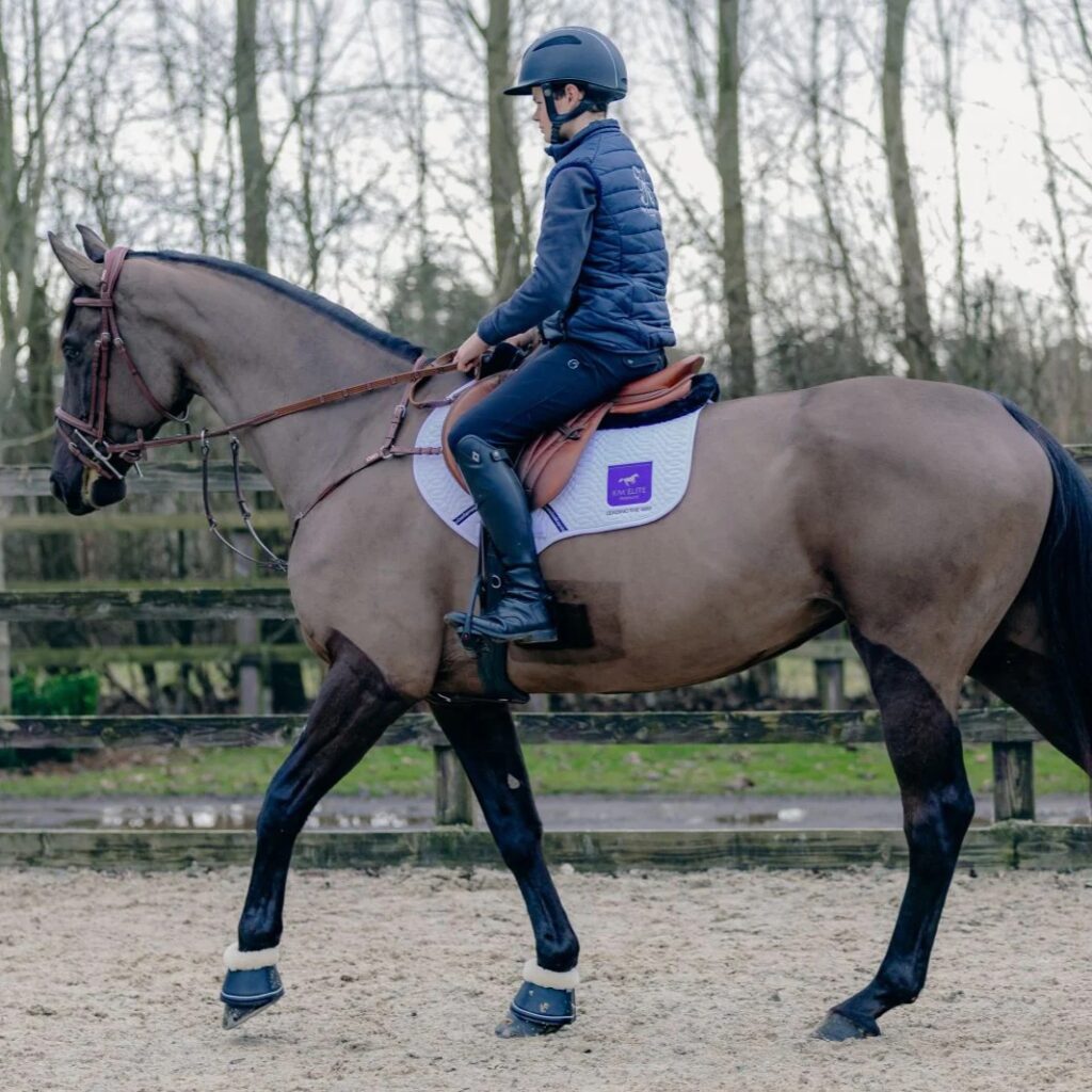 KM Elite Teddy Soft Over Reach Boots – Elite Equine Tack Emporium